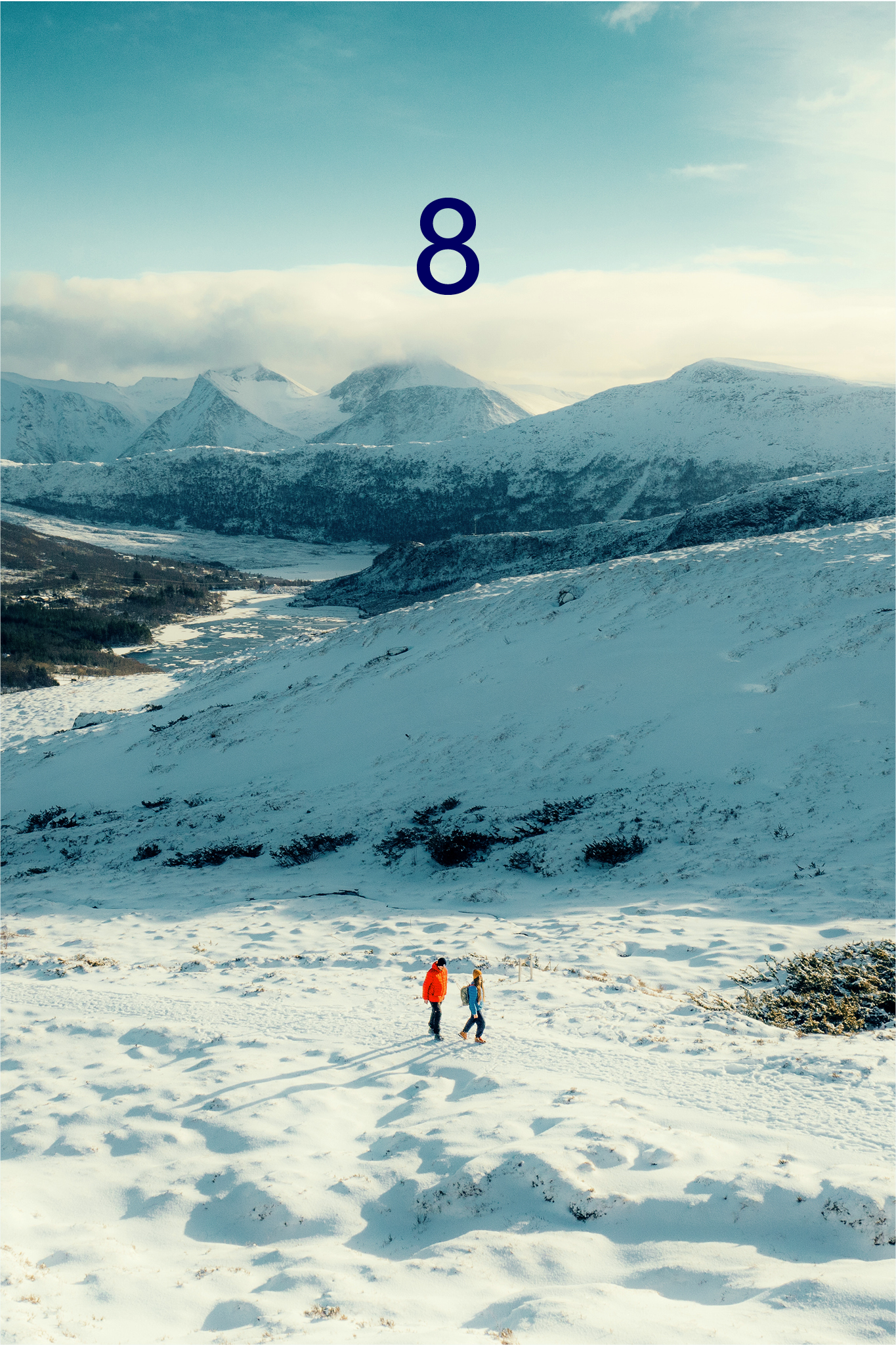 12 Days of adm Indicia Insights - Advent Calendar | The Brand Activation Agency